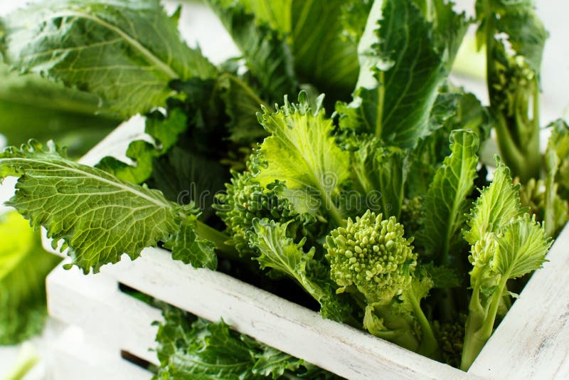 299 Turnip Sprout Stock Photos - Free & Royalty-Free Stock Photos from ...