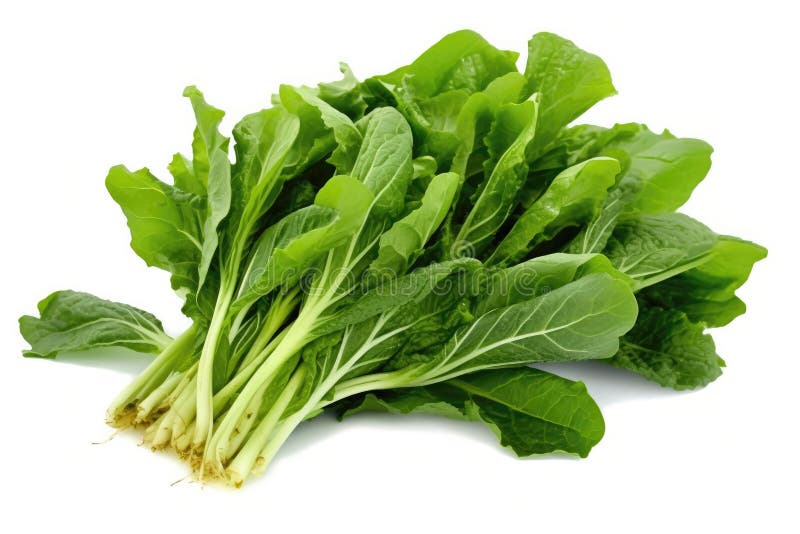Turnip Greens on a White Background without Shadows. Generative AI ...