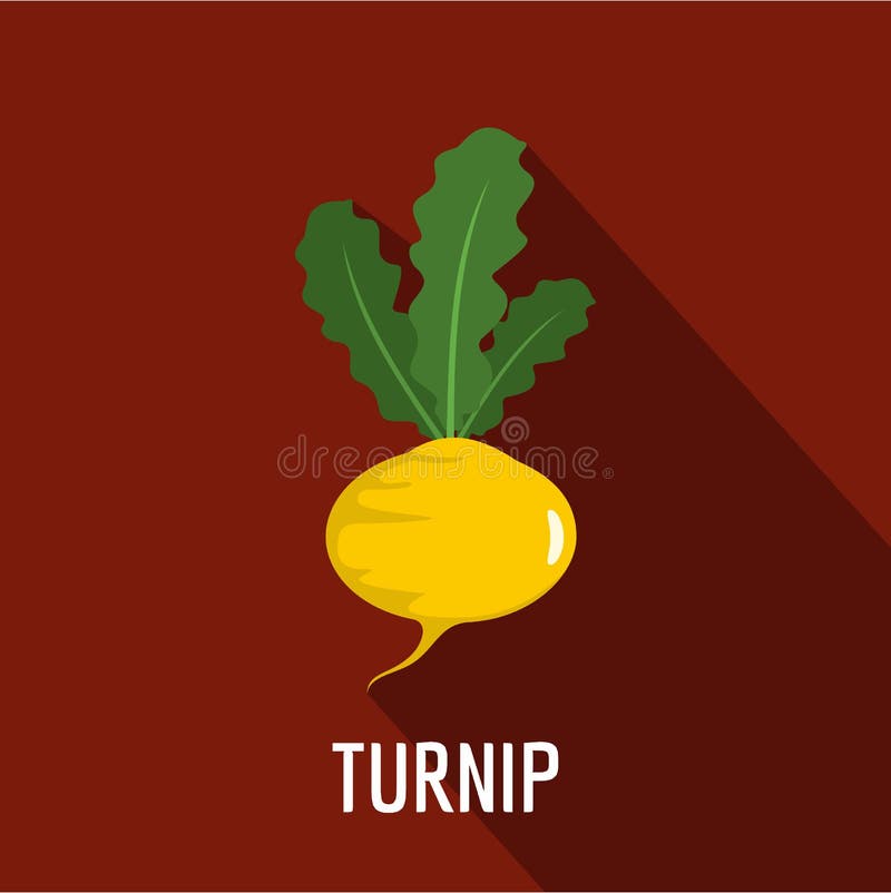 Turnip icon, flat style. stock vector. Illustration of vegetarian ...