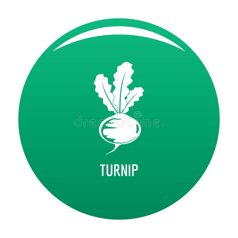 Turnip icon vector green stock vector. Illustration of beetroot - 135096338