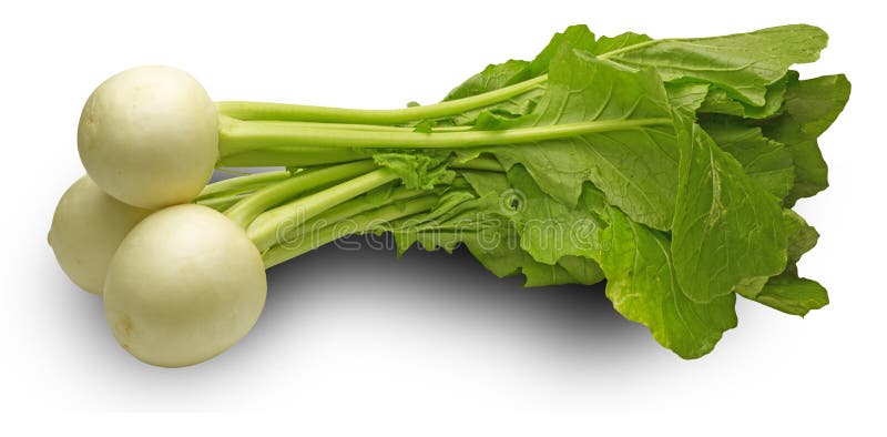 Turnip stock photo. Image of ingredient, turnip, fresh - 35681834