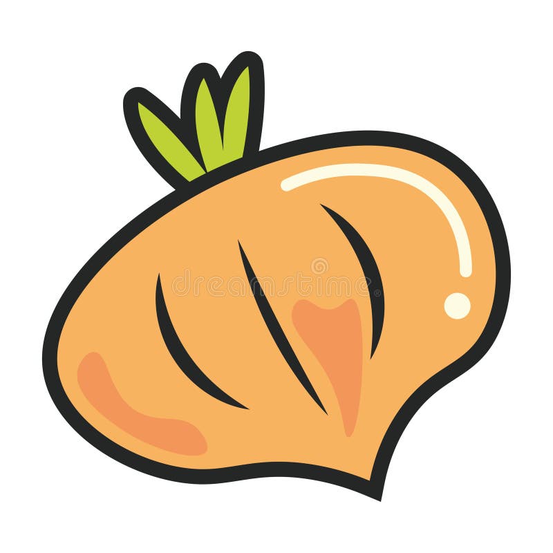 Turnip Root Cartoon Icon. Vector Stock Vector - Illustration of root ...