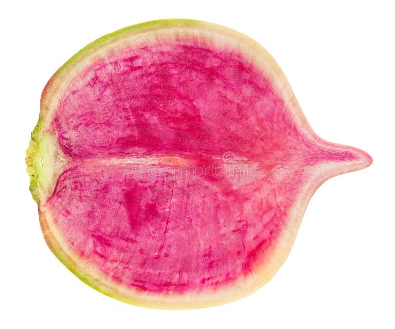 Fresh Turnips And A Cut One Stock Photo - Image of root, rutabaga: 23675430