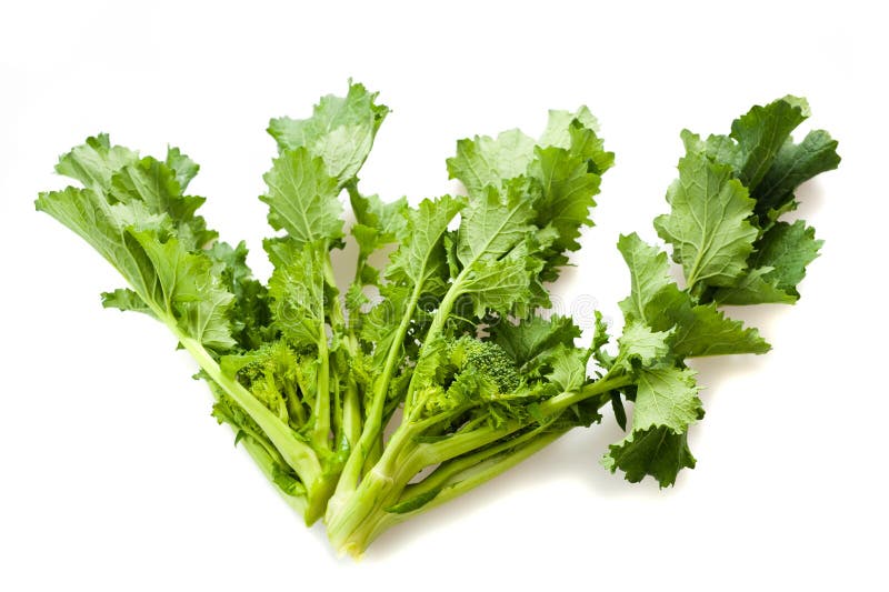 Turnip tops stock image. Image of tops, broccoli, greens - 23978765