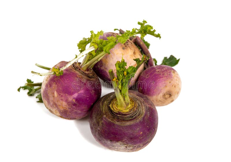 Turnip on white background 库存照片. 图片 包括有 白萝卜, 自然, 萝卜 - 166387078