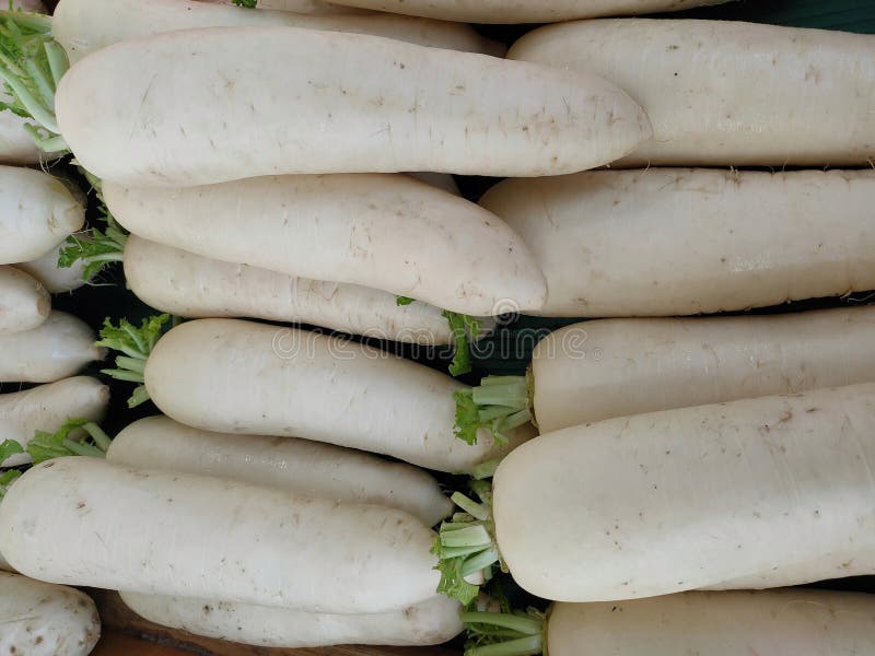 Turnip is a White Vegetable. it is Part of the Root that is Used in ...