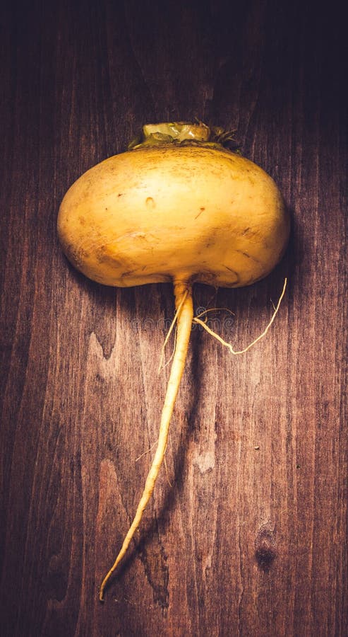 Turnip on a wooden board stock photo. Image of fresh - 122497724