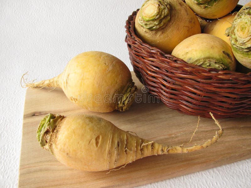 Turnip stock image. Image of leaves, fresh, turnip, yellow - 13570655