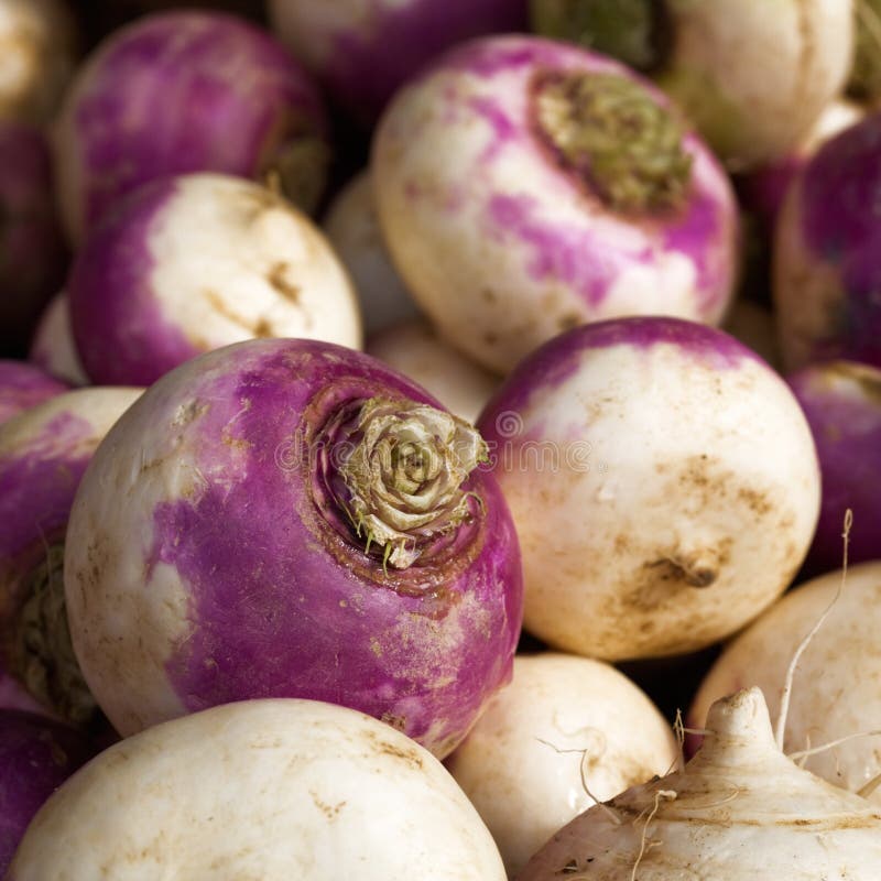 Turnips stock photo. Image of agriculture, street, retail - 29354948