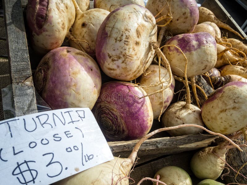Turnips stock image. Image of culinary, eating, agricultural - 46143161