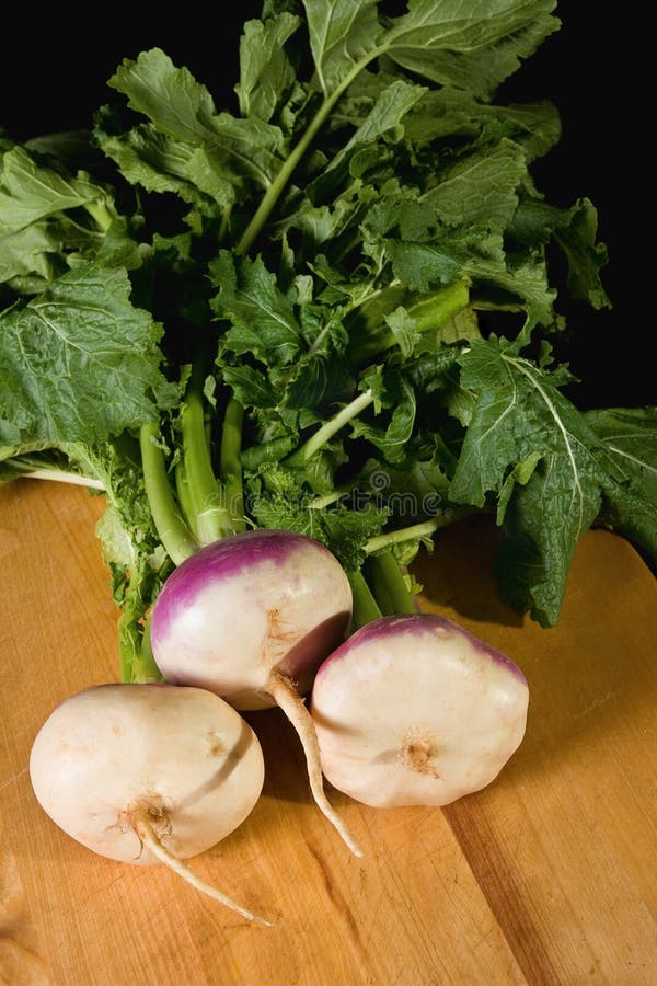 Turnip stock photo. Image of fresh, cook, organic, plant - 25003702