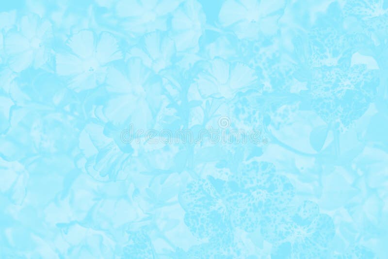Turquoise Aqua Aquamarine Gradient Background, Flower Pattern Stock ...
