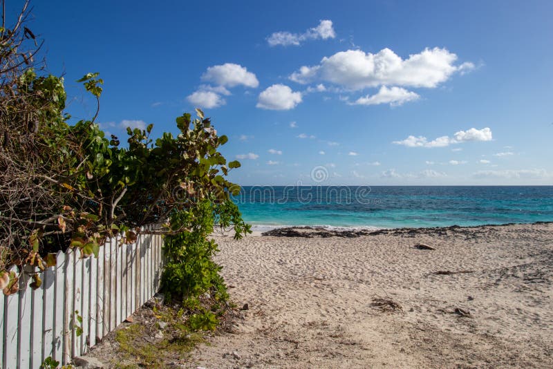 Turquoise Blue Water at a Tropical Beach Stock Image - Image of ...