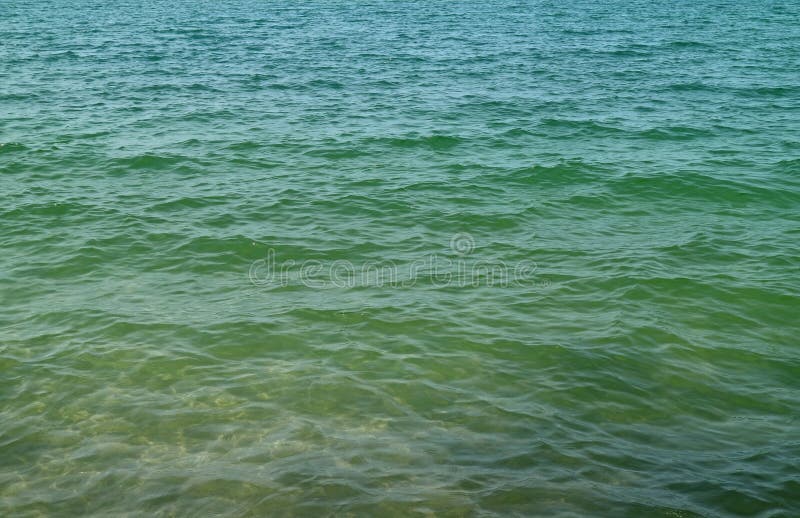 Turquoise and Emerald Green Sea Water with Easy Waves on the Surface ...