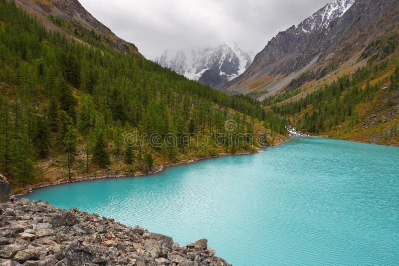 Turquoise Lake Water in Pines Wood Stock Image - Image of alps ...