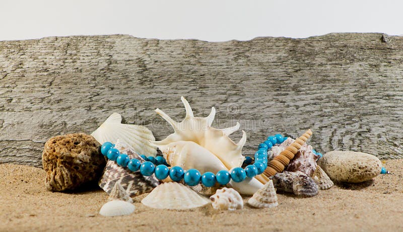Turquoise Necklace and Seashells. Stock Photo - Image of gifts ...