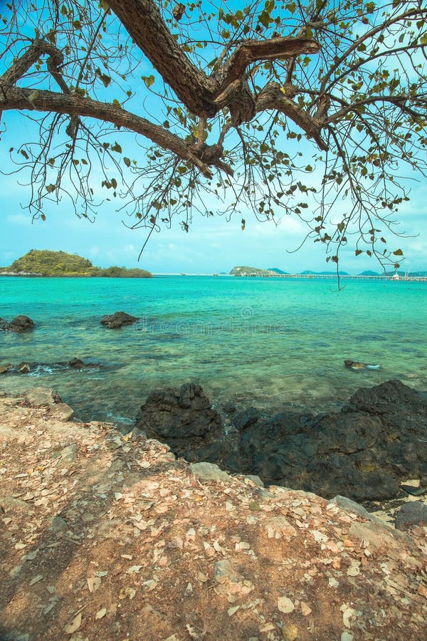 Turquoise Ocean with the Rock on the Beach Stock Photo - Image of beach ...