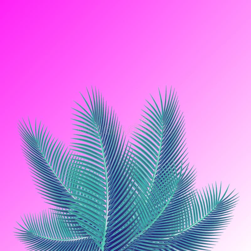 Turquoise Palm Tree on a Pink Background. Stock Image - Image of beach ...