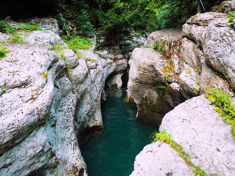 Turquoise River Flows between Light Rocks with Thick Green Trees ...