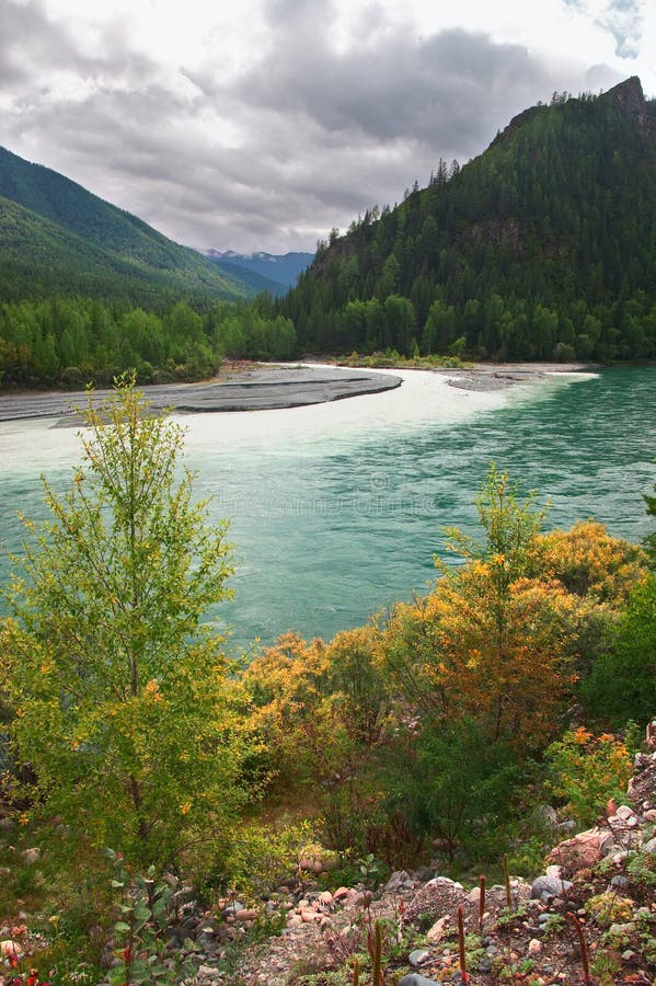 River in Mountains with Rocks, Green Grass on Riverside. Mountain ...