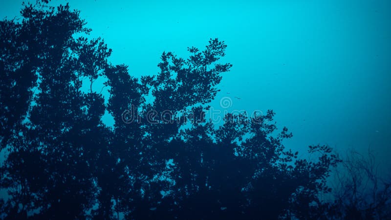 Turquoise River Water with Reflection of Dark Shadows of Trees at Time ...