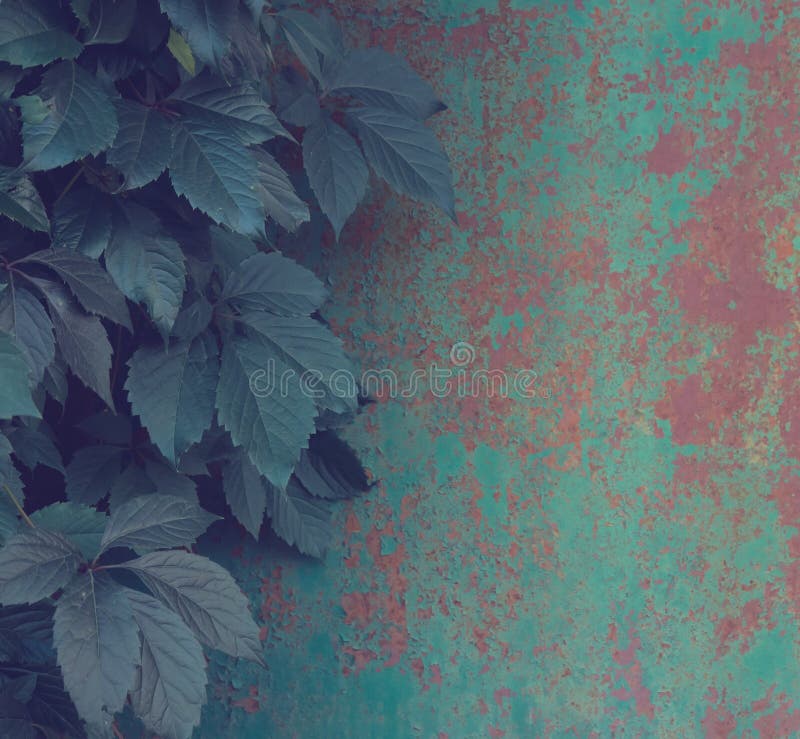 Turquoise Rusty Grunge Metal Texture. Photo Background. Stock Photo ...