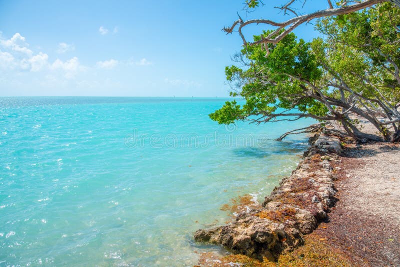 Turquoise Sea in Florida Keys Shore Stock Photo - Image of landscape ...