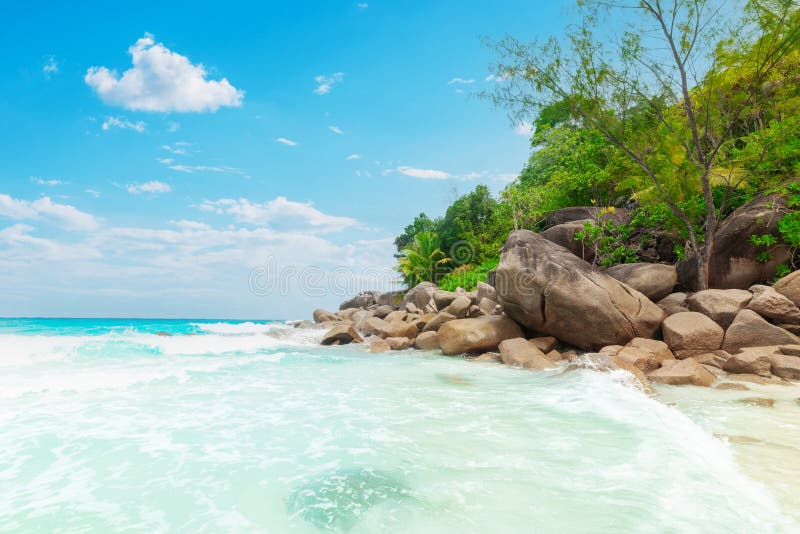 Turquoise Sea and Rocks in a Tropical Beach Stock Photo - Image of ...