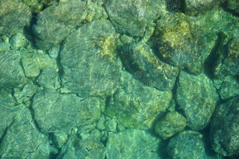 Turquoise Sea Shallow Water on Rocks Covered with Algae and Small Fish ...