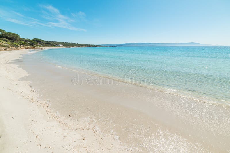 Turquoise Water in Le Bombarde Beach in Alghero Stock Photo - Image of ...