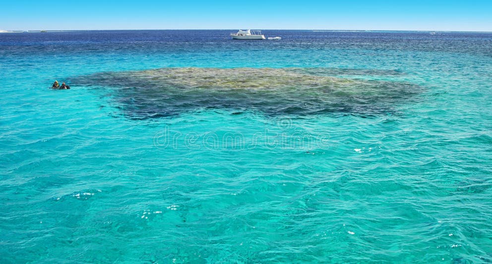 Turquoise Water Riff Scuba Diving Stock Photo - Image of ocean, riff ...