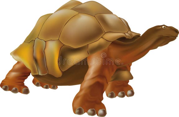 Turtle Motion Stock Illustrations – 3,780 Turtle Motion Stock ...