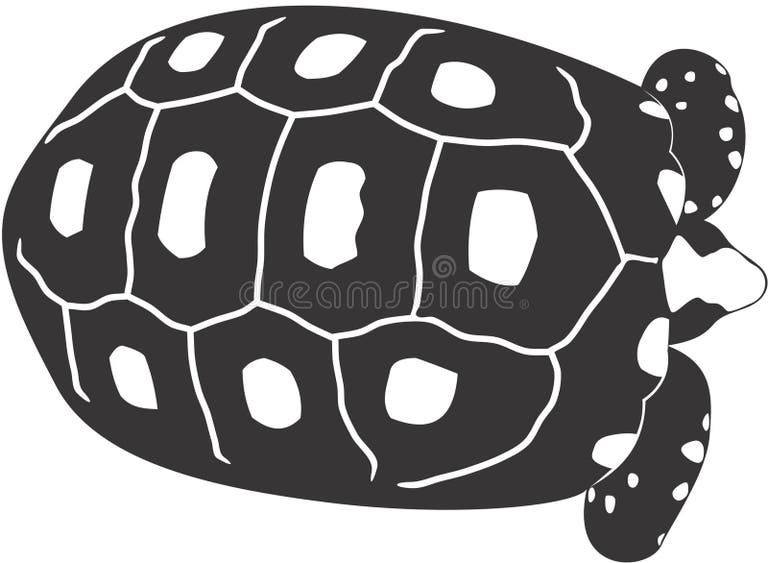 Turtle Circle Stock Illustrations – 8,552 Turtle Circle Stock ...