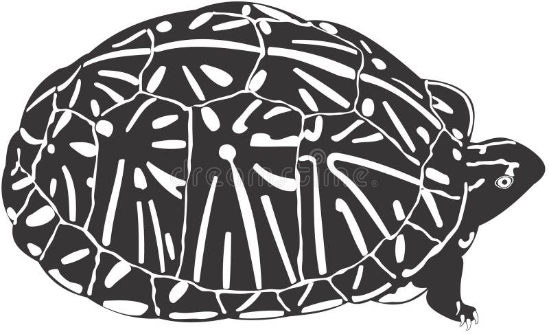 Turtle Circle Stock Illustrations – 8,552 Turtle Circle Stock ...