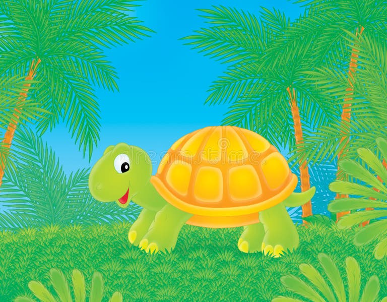 Jungle Turtle Stock Illustrations – 5,997 Jungle Turtle Stock ...