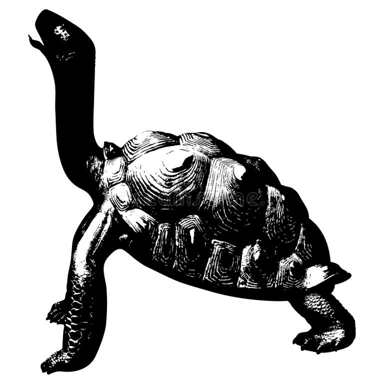 Turtle Vector Silhouettes Stock Illustrations – 842 Turtle Vector ...