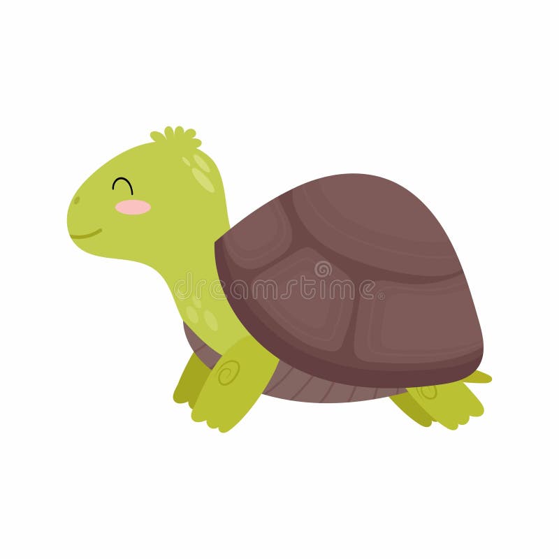 Turtle. Vector Illustration of a Ground Turtle. Cute Smiling Turtle ...