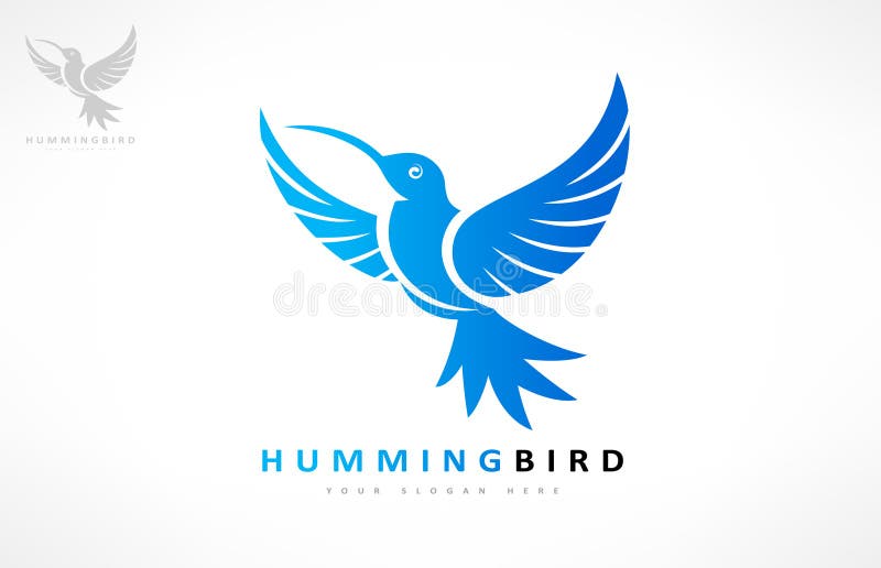 Hummingbird Logo Vector. Bird Design Stock Illustration - Illustration ...
