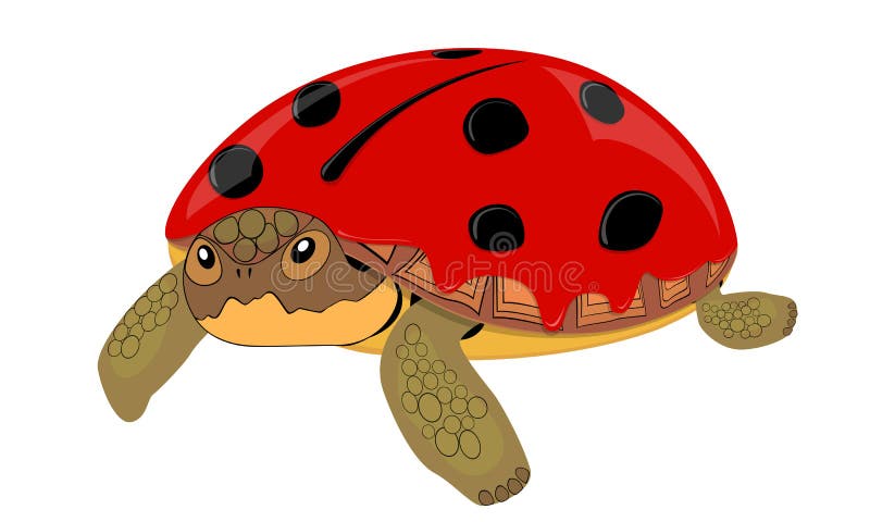 Surprised Turtle Stock Illustrations – 30 Surprised Turtle Stock ...