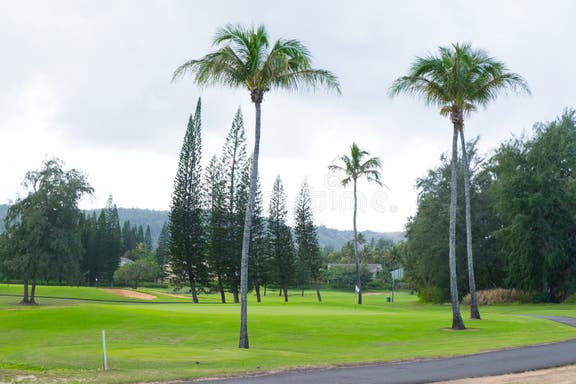 Turtle Bay Golf Course stock image. Image of beach, color - 108416521