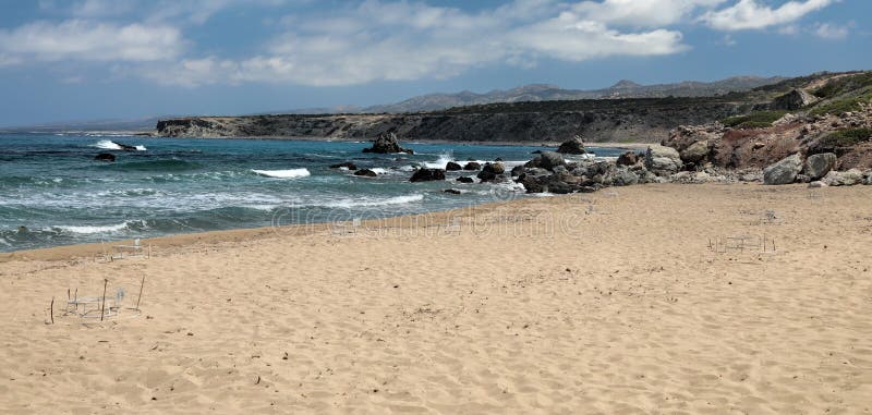 Turtle beach cyprus stock image. Image of cyprus, green - 155024901