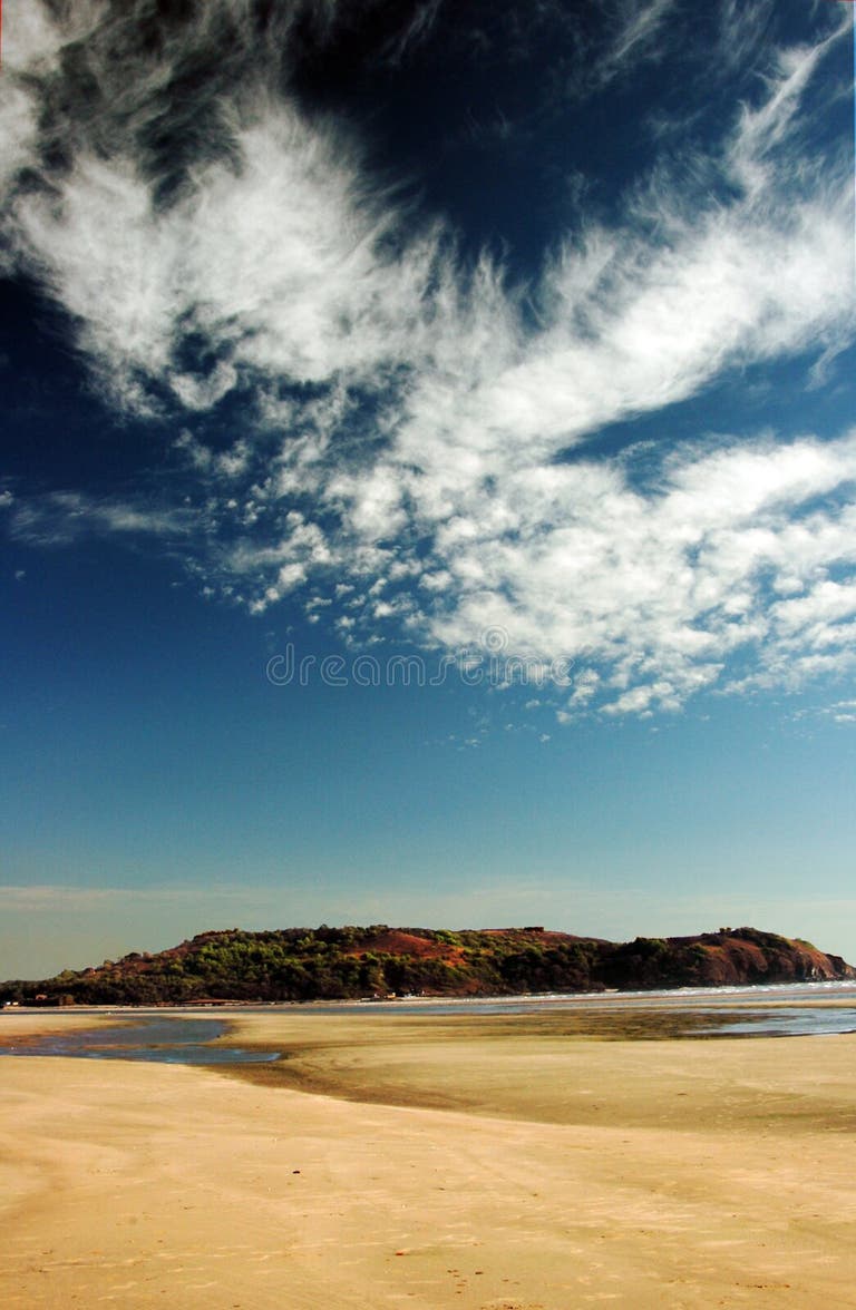 Beach Goa Turtle Stock Photos - Free & Royalty-Free Stock Photos from ...