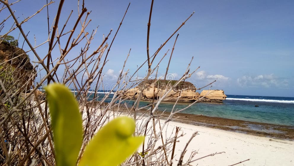 Turtle beach in Lombok stock photo. Image of wind, sunlight - 222170032