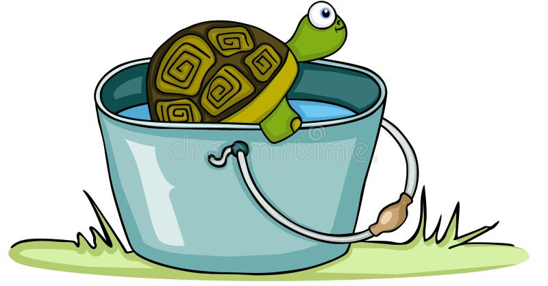 Turtle In Bucket With Water Stock Vector - Illustration of nature ...