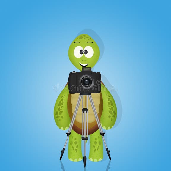 Turtle with Camera on Tripod Stock Illustration - Illustration of ...