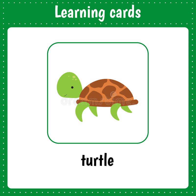 Turtle Flashcard Stock Illustrations – 116 Turtle Flashcard Stock ...