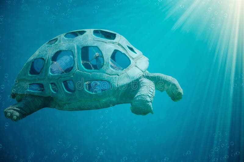 Turtle Carrying Plastic Bottle in Its Shell Stock Image - Image of ...