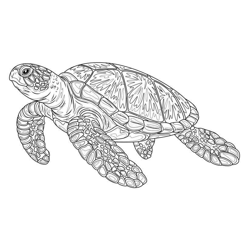 Turtle. Coloring Book Antistress for and Adults. Stock Vector ...