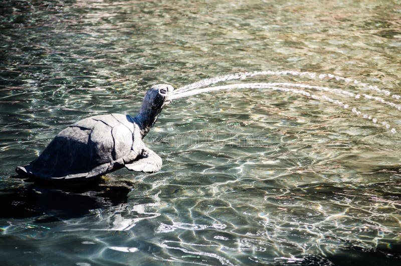 Turtle Design Fountain Spouting Water from Its Mouth. Stock Photo ...