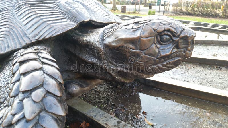 Turtle stock image. Image of statutory, head, park, statue - 47429619